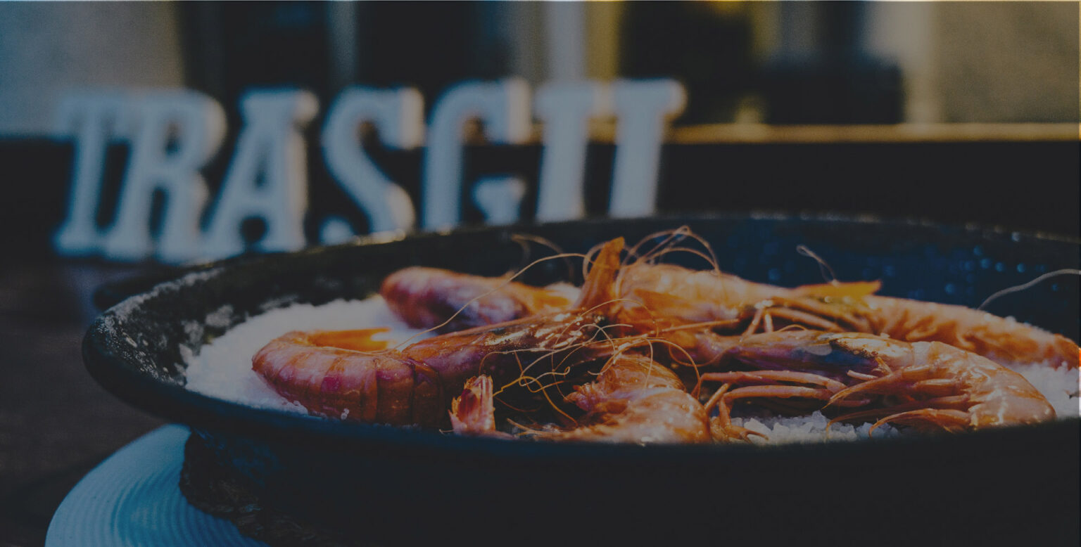 Blog - Novedades El Trasgu